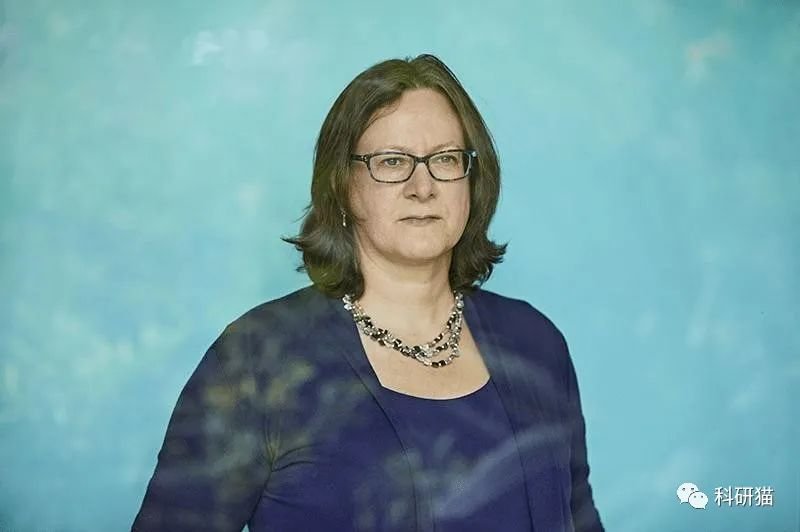 著名“学术打假人”Elisabeth Bik被告了 - 科学提示 SciTip